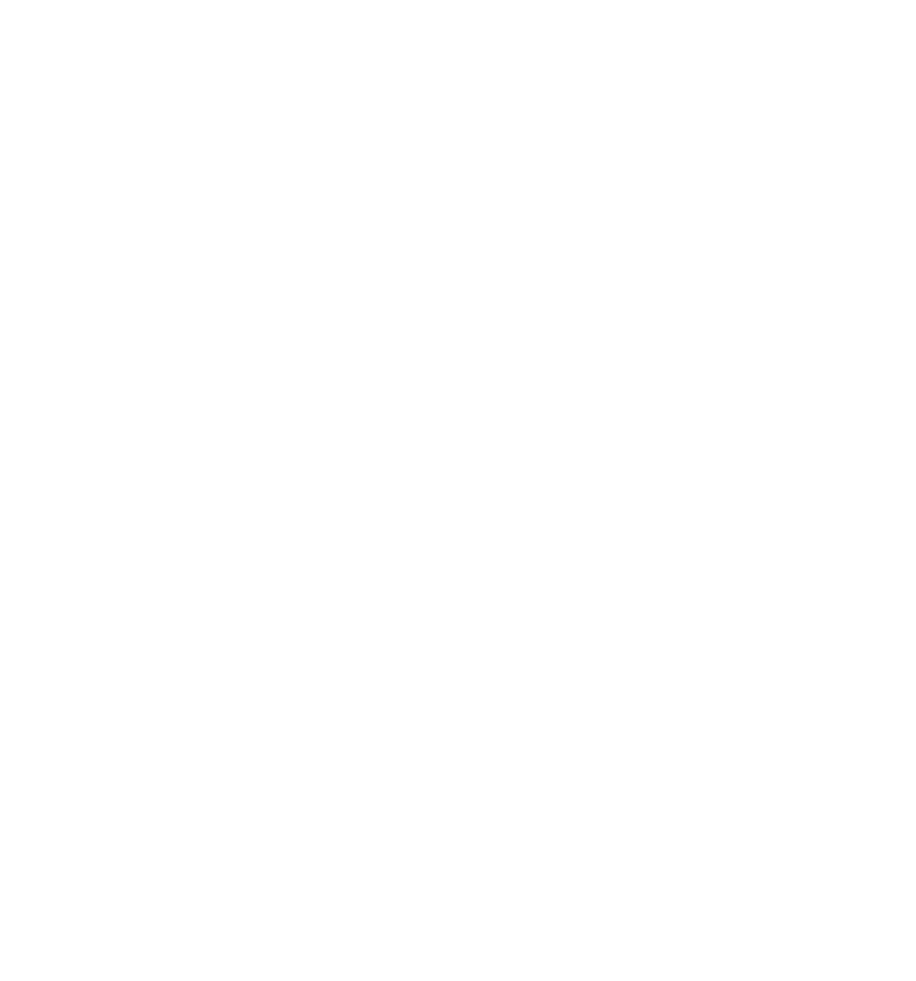 Coding Dot Bg2 Ivet Petcare